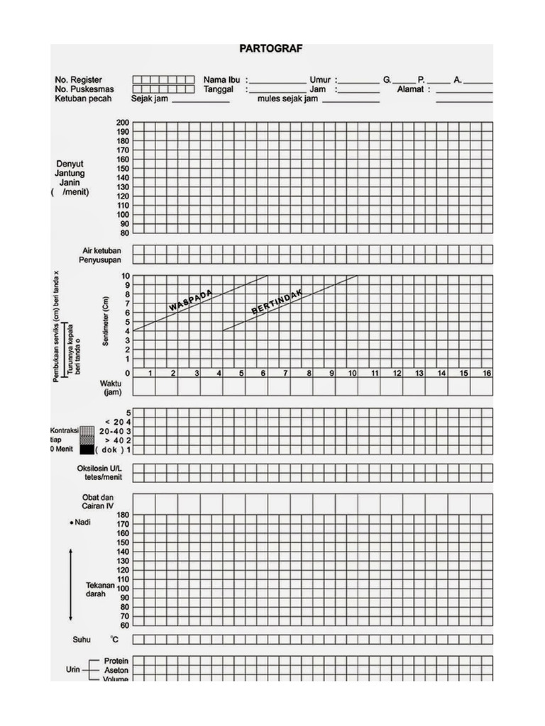 Partograf Compress | PDF