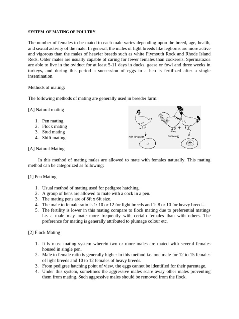 Poultry Breeding Mating Systems | PDF | Broiler | Poultry