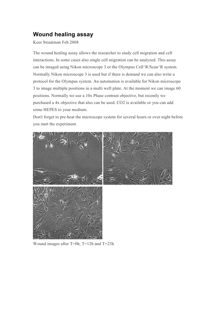 Wound Healing Assay | PDF | Wound Healing | Computer File