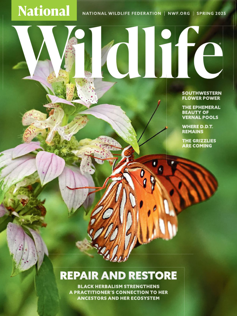 Monarchs and Wildlife Gardening Guide | PDF | Hunting | Coyote