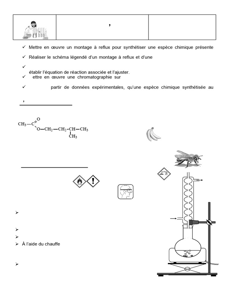Synthèse de l'arôme de banane par reflux | PDF | Chimie