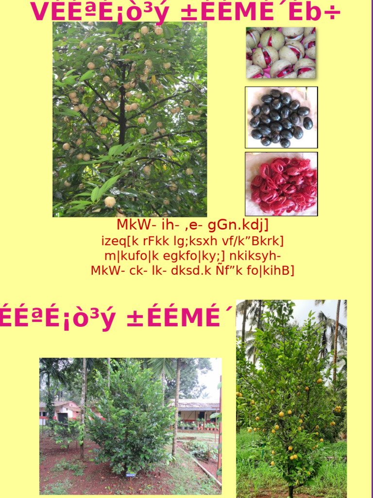 Dr. P. M. Haldankar, Jaifal V Kalimiri | PDF