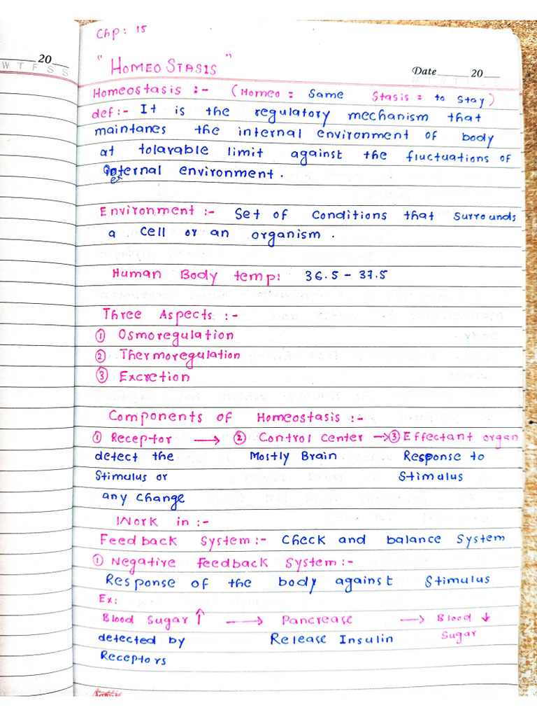 Xii Biology Chp 15 Homeostasis Notes | PDF