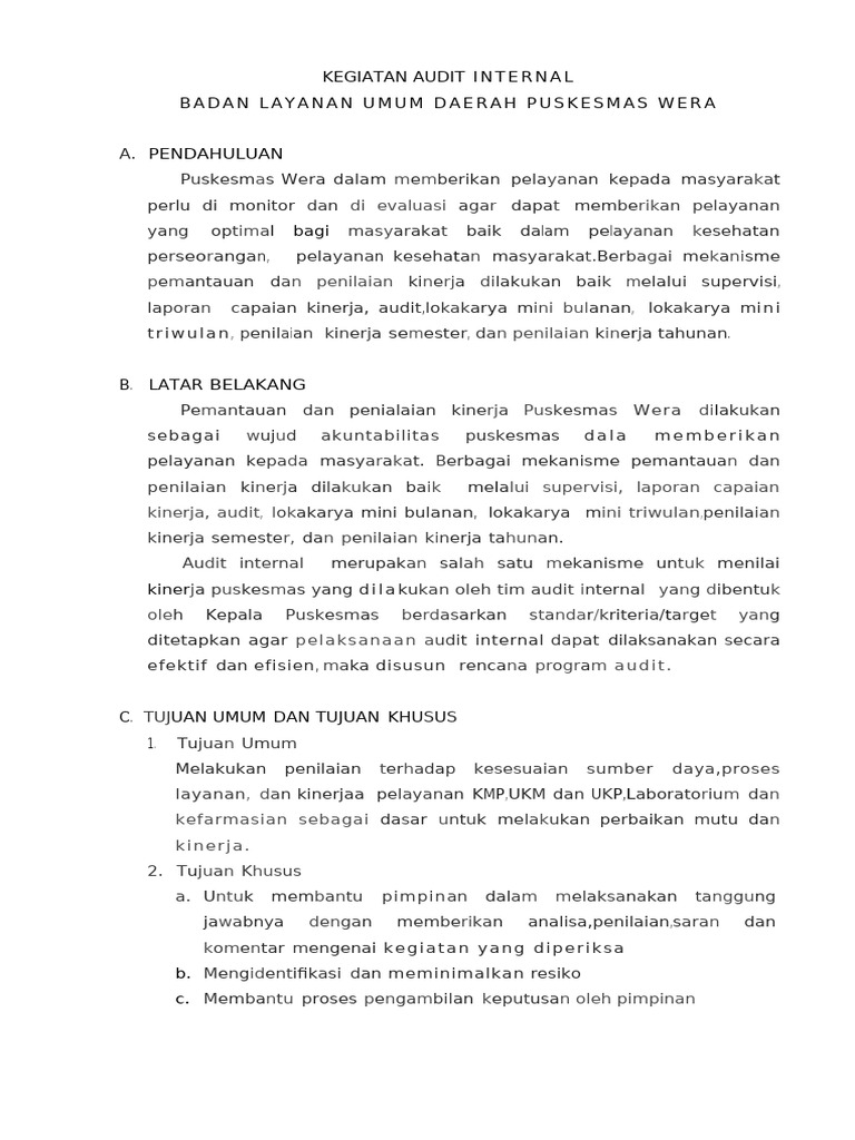 Kak Audit Internal V | PDF