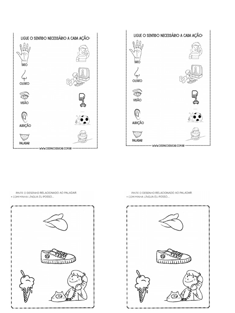 5 Sentidos | PDF