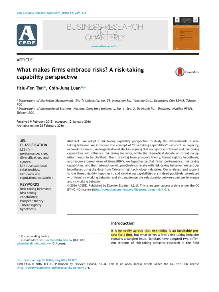 What Makes Firms Embrace Risks | PDF | Risk | Debt