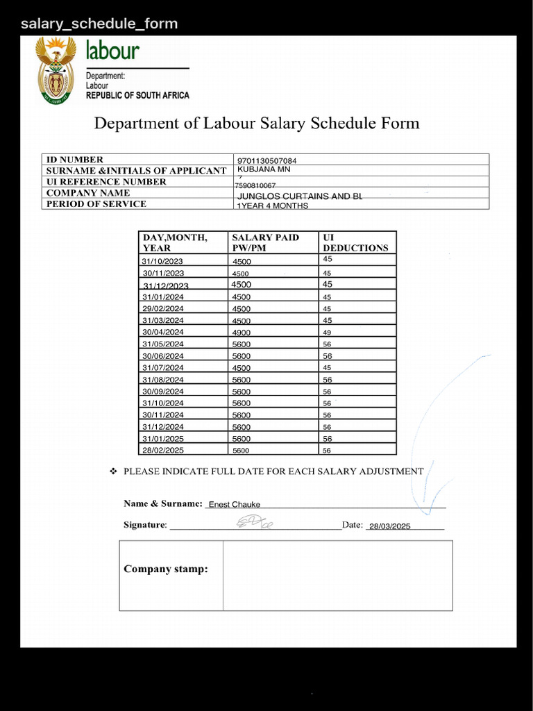Salary Schedule Form | PDF