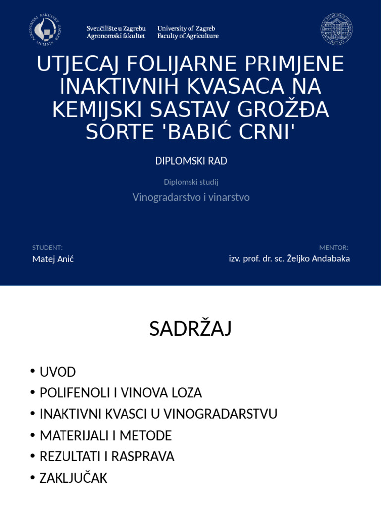 Matej Anić Prezentacija Diplomski Rad | PDF