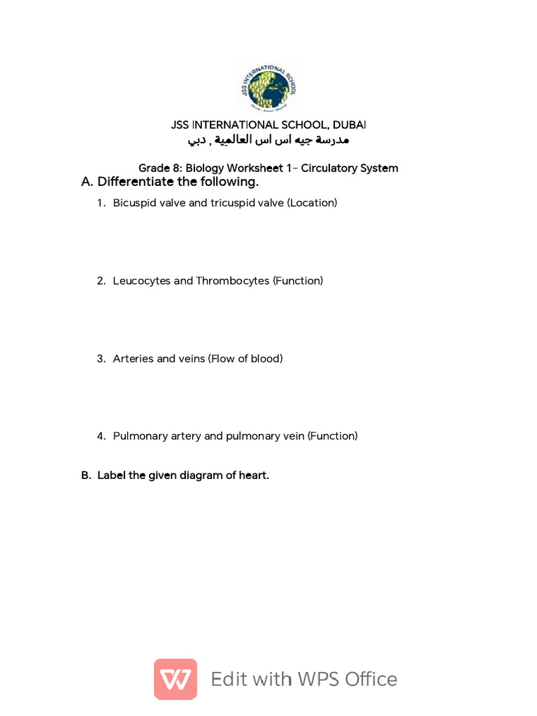 Grade 8 Circulatory System Worksheet | PDF