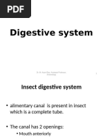 Insect Excretory System Overview | PDF | Chloride | Sodium