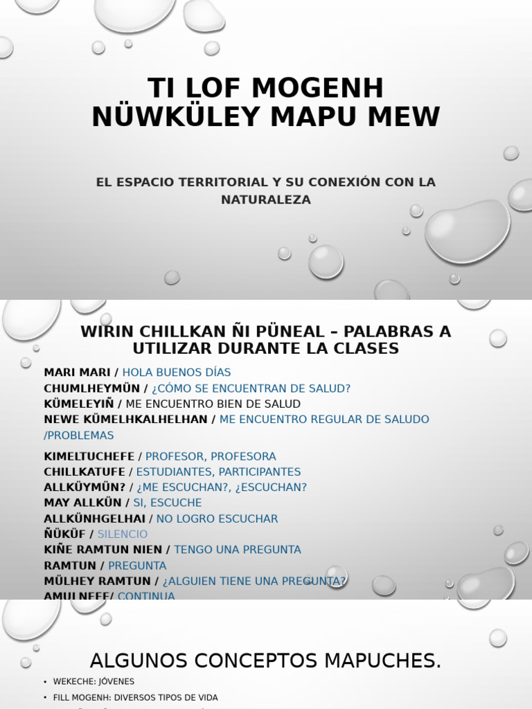 Vocabulario Mapuche | PDF