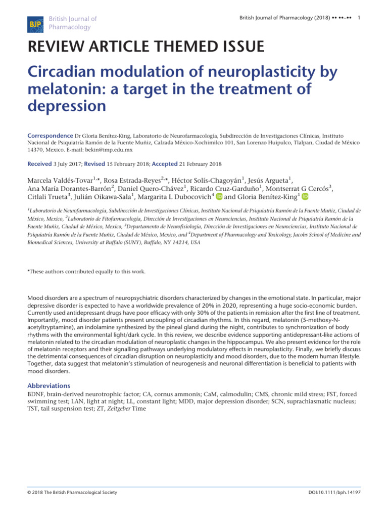 Circadian modulation of neuroplasticity by melatonin_ a target in the treatment of depression ...