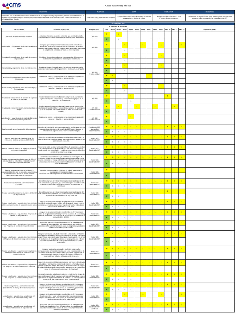 Plan de Trabajo HSEQ 2025 | PDF | Riesgo | Business