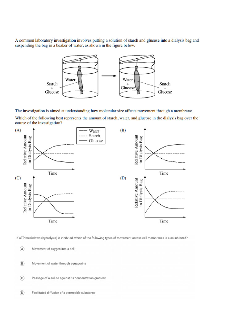 AP Review - Unit 2 Stations | PDF | Cell (Biology) | Cell Membrane