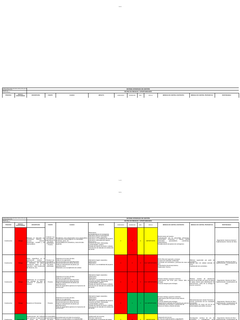 FOR-378 Matriz Riesgos y Oportunidades Final Ok | PDF