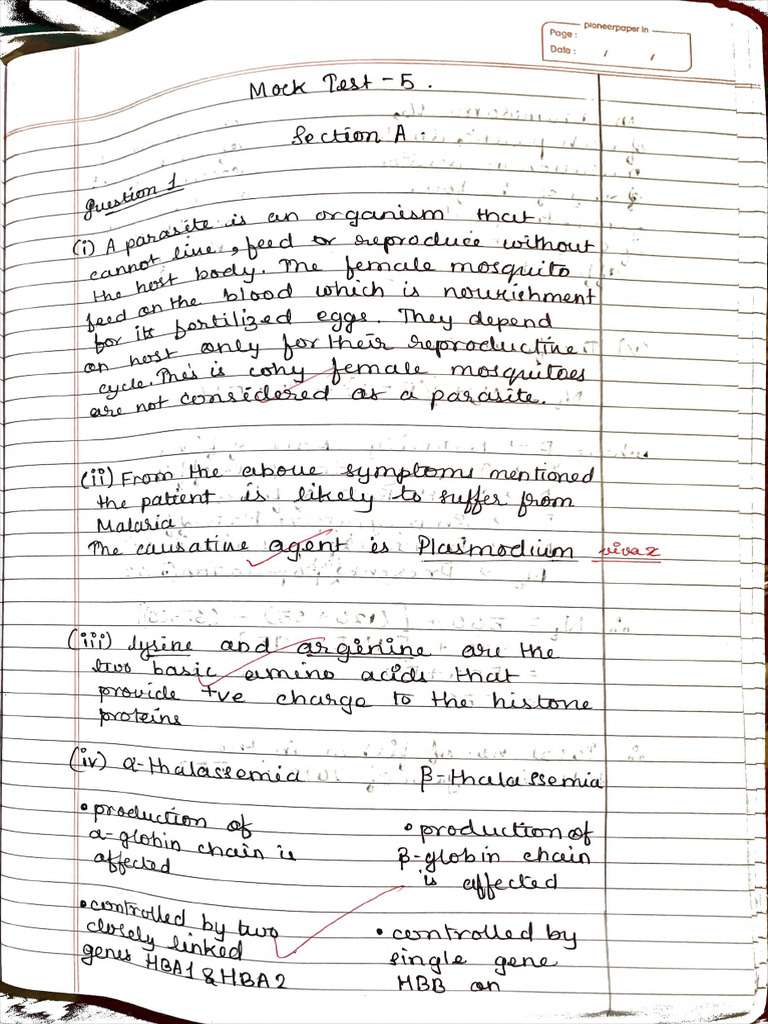 Mock 5 2024-25 | PDF
