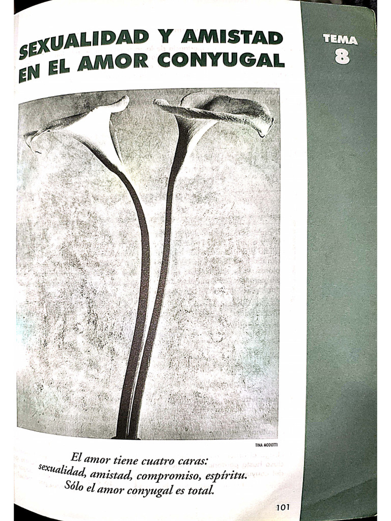 Tema No. 8, Sexualidad y Amistad en El Amor Conyugal | PDF