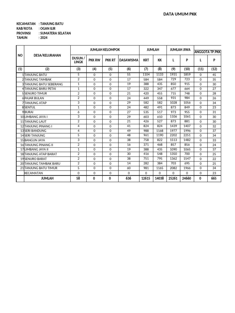 Data Umum PKK Kecamatan | PDF