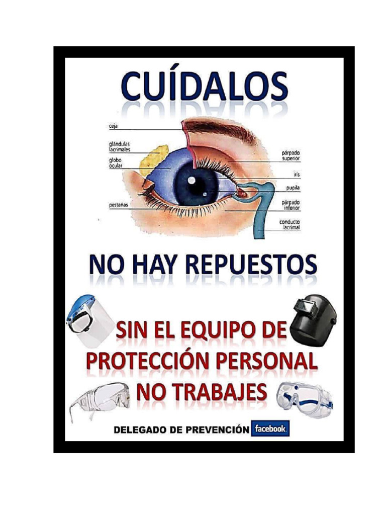 Afiche Cuidado de Los Ojos | PDF