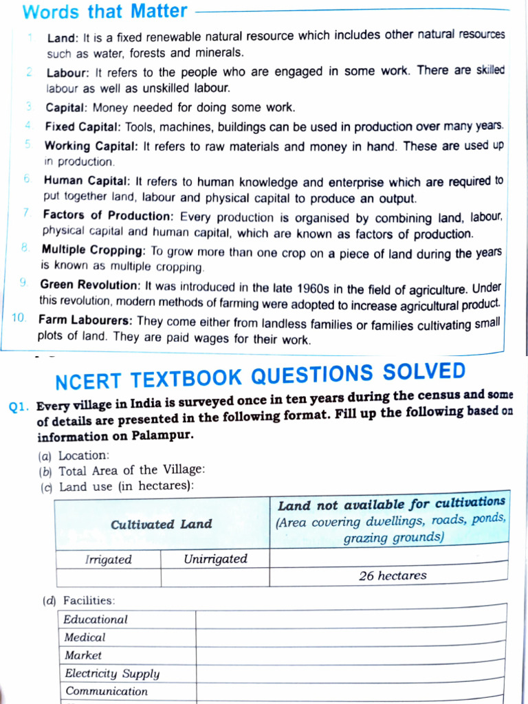 Class9_eco1_the Story of Village Palampur | PDF | Agriculture | Farms