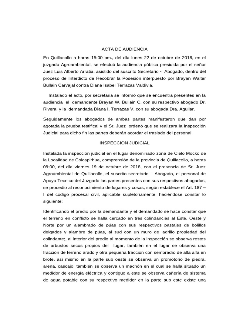 ACTA DE AUDIENCIA complementaria | PDF