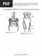 Hip Flexion MMT Grading Guide | PDF