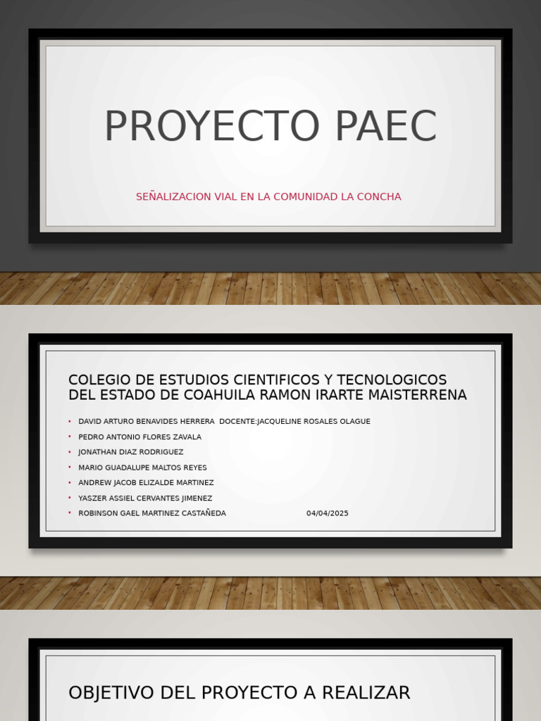 PROYECTO PAEC Jacqueline | PDF