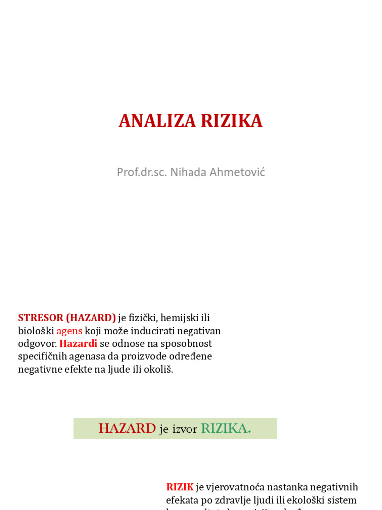 MF Analiza Rizika FINAL Stud | PDF