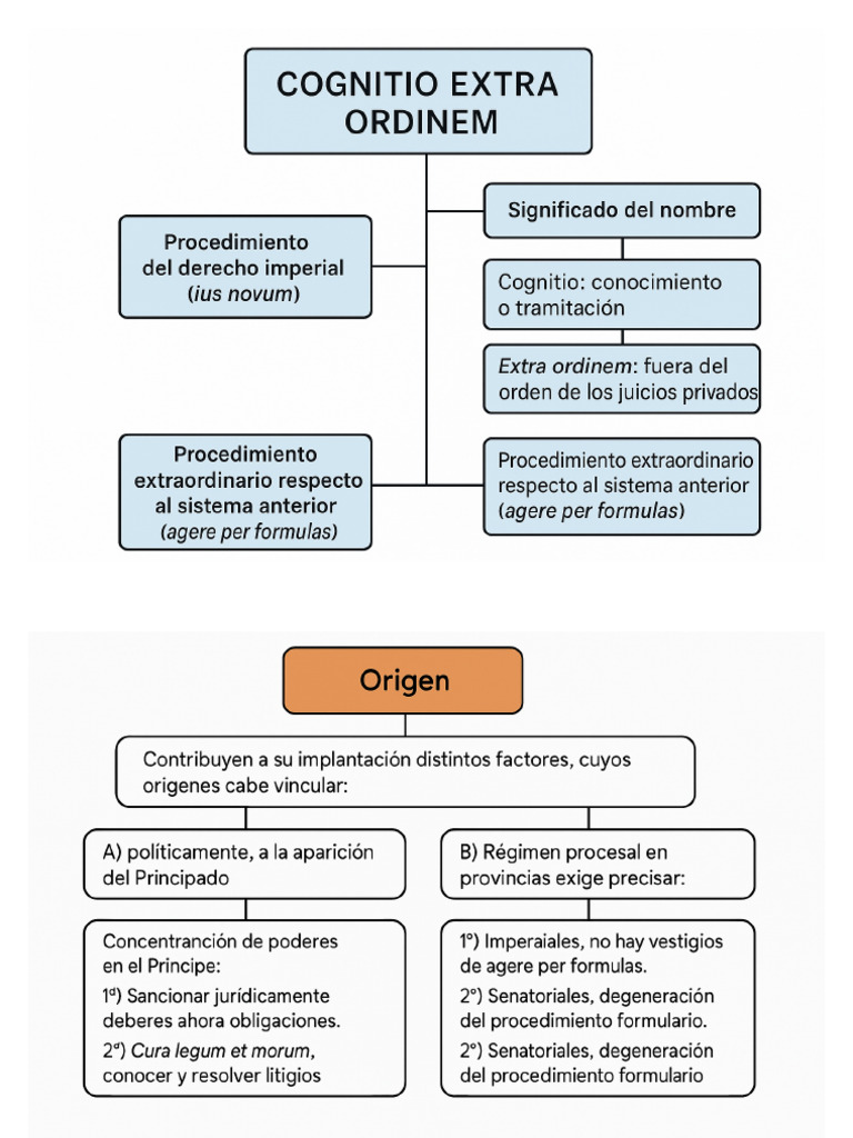 Cuadros Cognitio Extra Ordinem | PDF