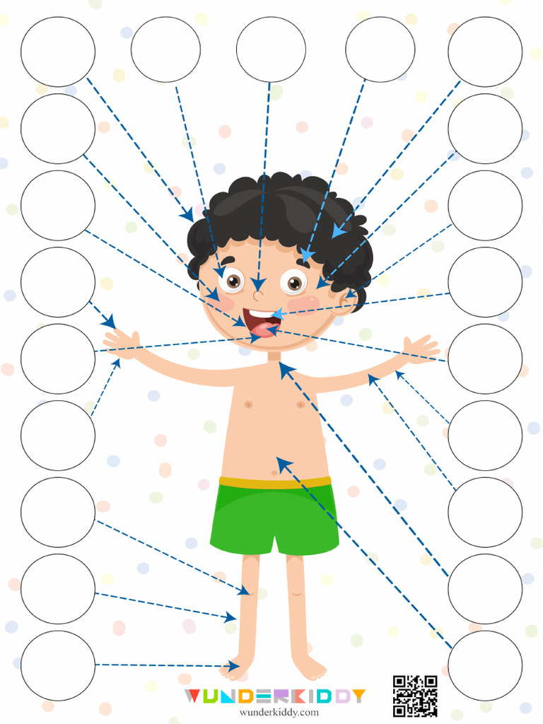 Wunderkiddy Body Parts | PDF