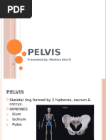 Differences Between Male and Female Pelvis | PDF | Pelvis | Skeletal System