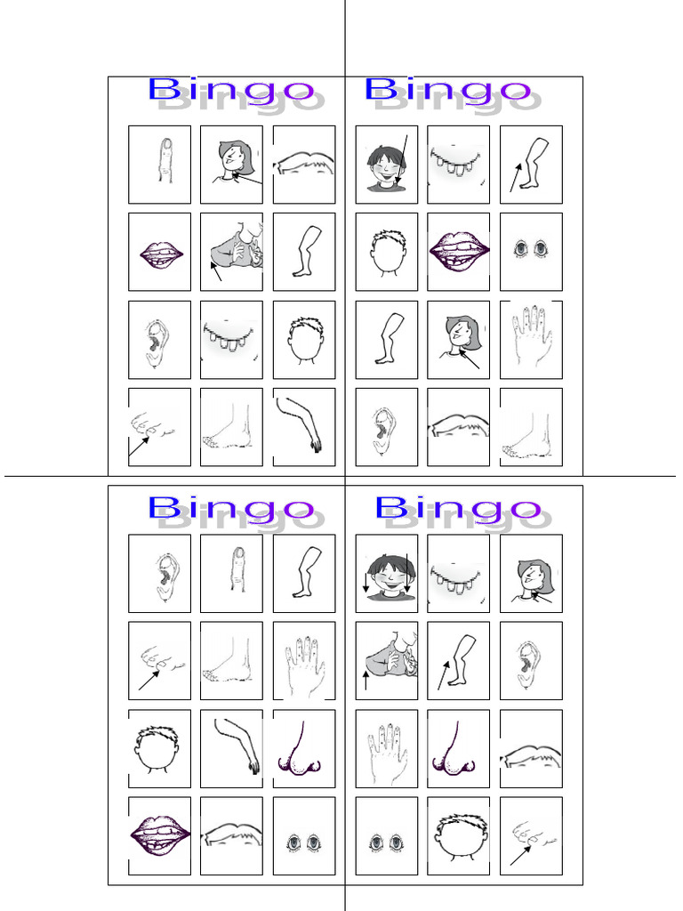 BINGO - Parts of The Body | PDF