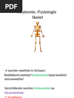 Anatomie Van Het Paard | PDF