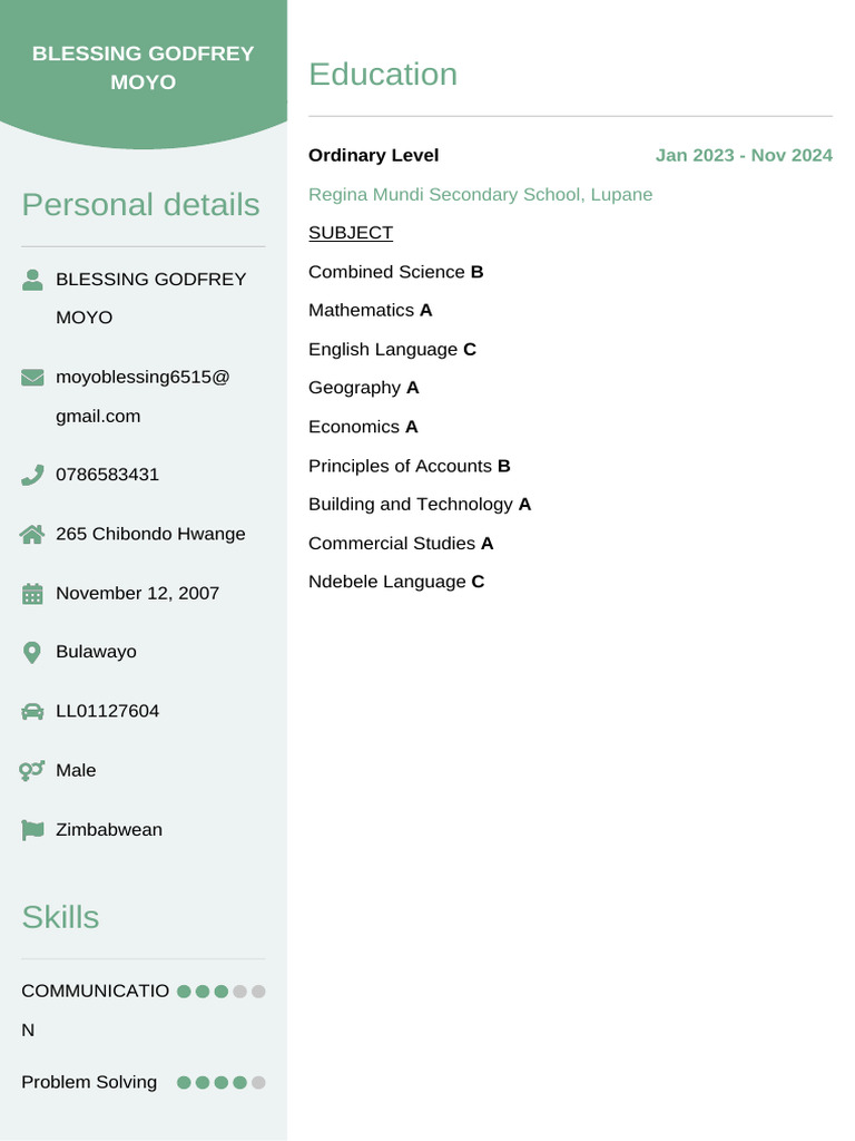 Resume Blessing Godfrey Moyo | PDF