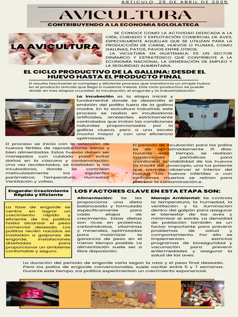 Articulo Avicola ECOMAC | PDF | Pollo | Aves