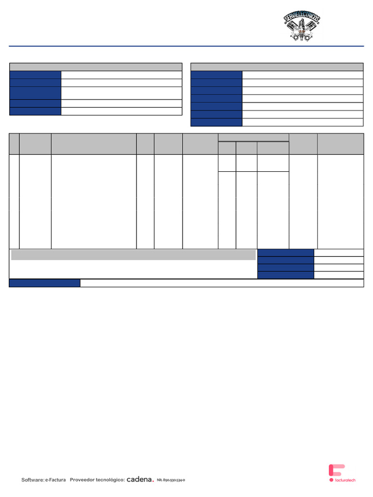 Dian FE66 | PDF | Factura | Economias