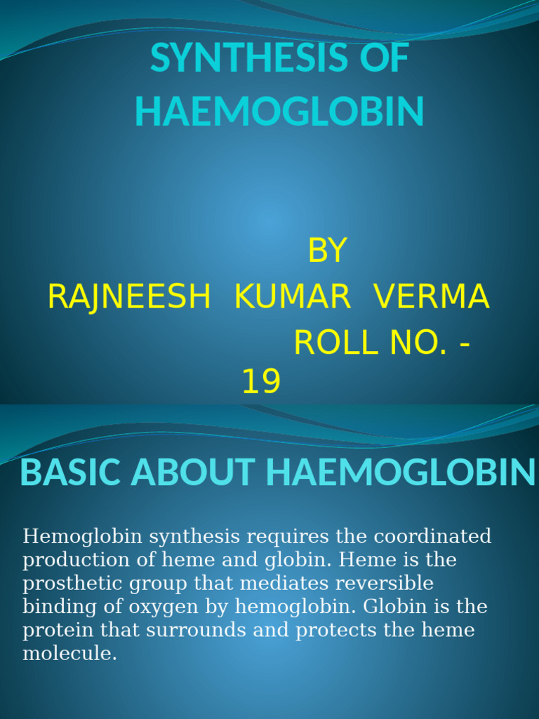 Hemoglobin Synthesis Process Explained | PDF | Hemoglobin | Biosynthesis