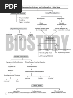 Amoeba Sisters Mutations Recap Guide | PDF | Genetic Code | Point Mutation