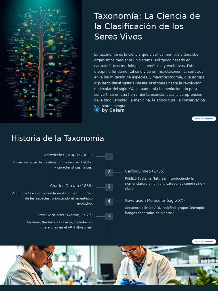 Taxonomia La Ciencia de La Clasificacion de Los Seres Vivos | PDF ...