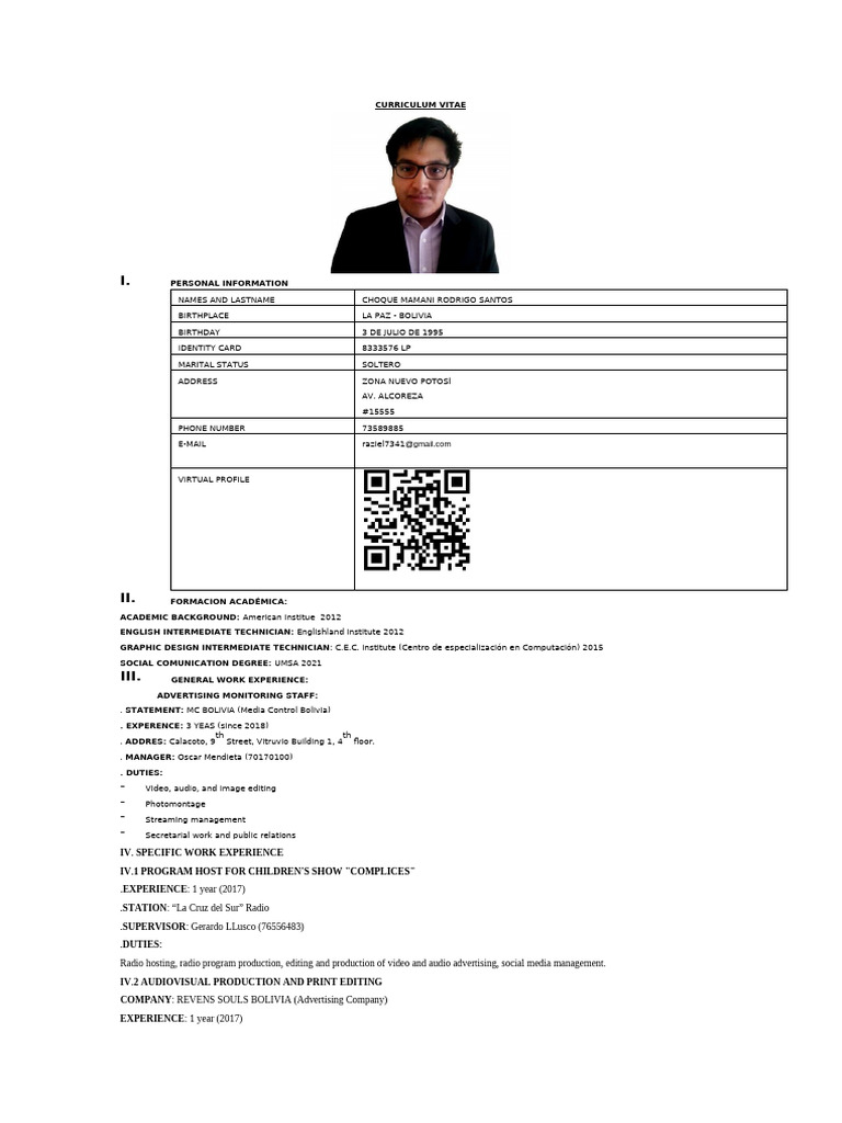 Curriculum Vitae English | PDF | Computing | Software