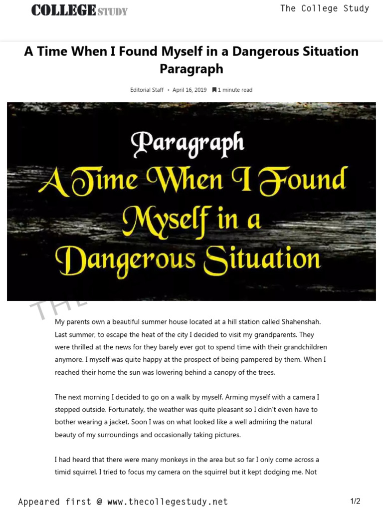 30 A Time When I Found Myself in a Dangerous Situation Paragraph | PDF