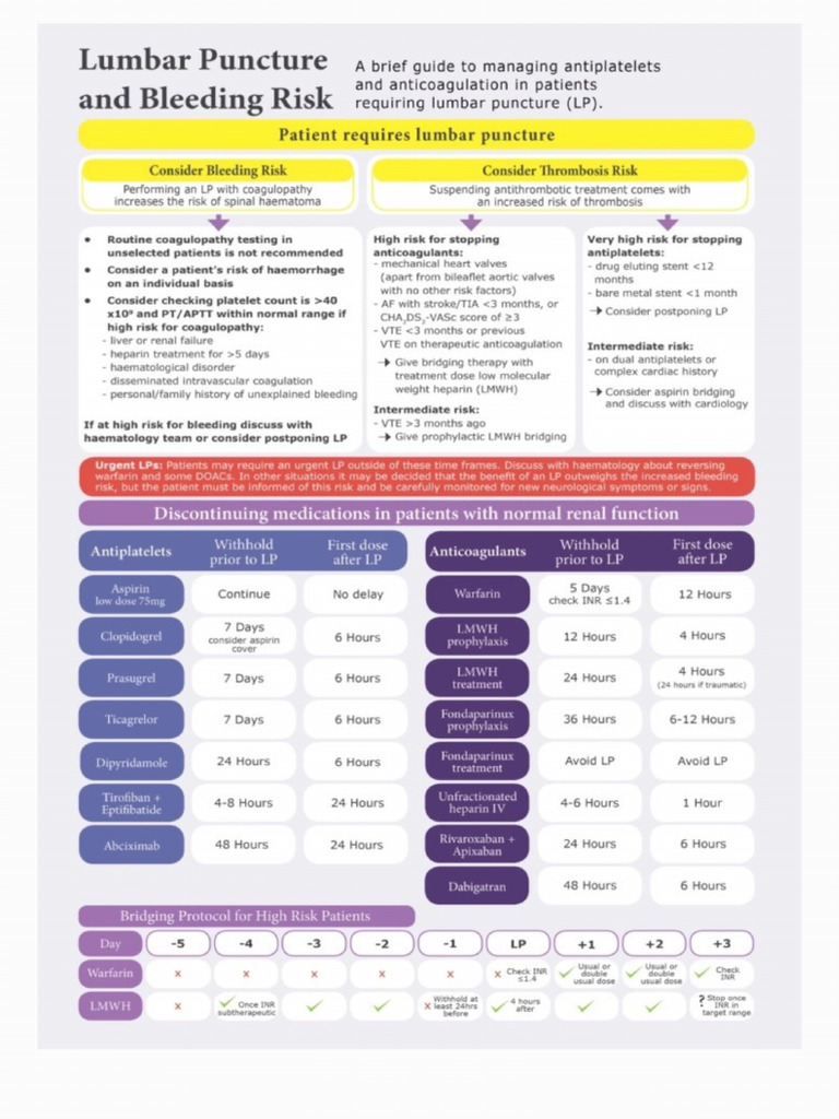 Lumbar Puncture CSF - 231211 - 202349 | PDF