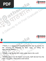 Poultry Processing Steps Explained | PDF | Poultry Farming | Poultry