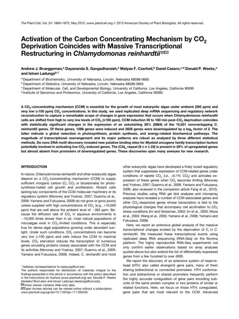 Activation of the Carbon Concentrating Mechanism | PDF | Gene | Carbon ...