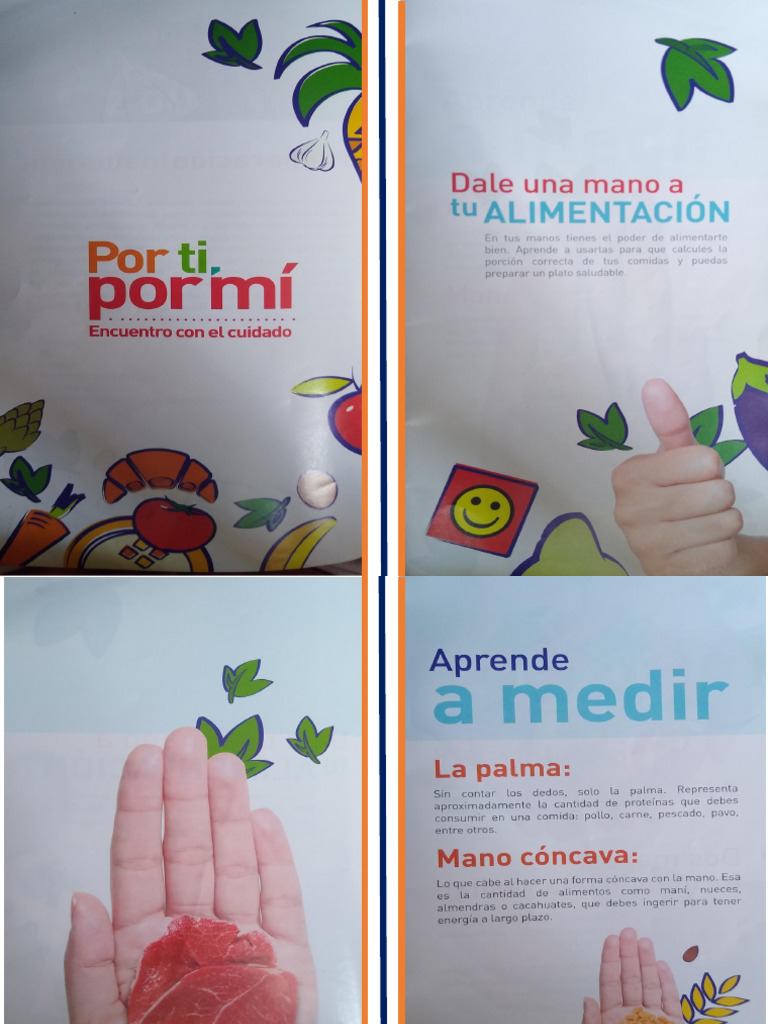 Menu Saludable Sura | PDF