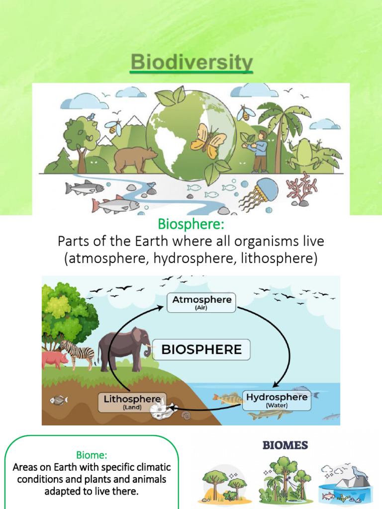 biomes-and-abiotic-factors | PDF | Soil | Water