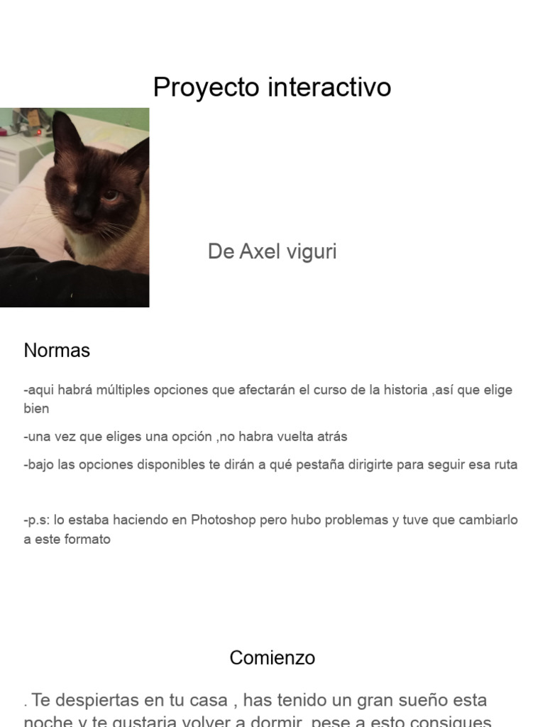 Proyecto Interactivo 3d2 | PDF