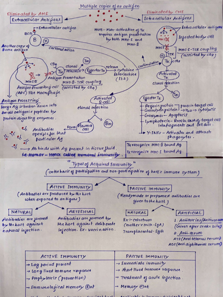 74fa5730-e288-479e-aa29-b898d00091ff (1) | PDF