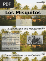Historia y cultura de los misquitos | PDF | Honduras