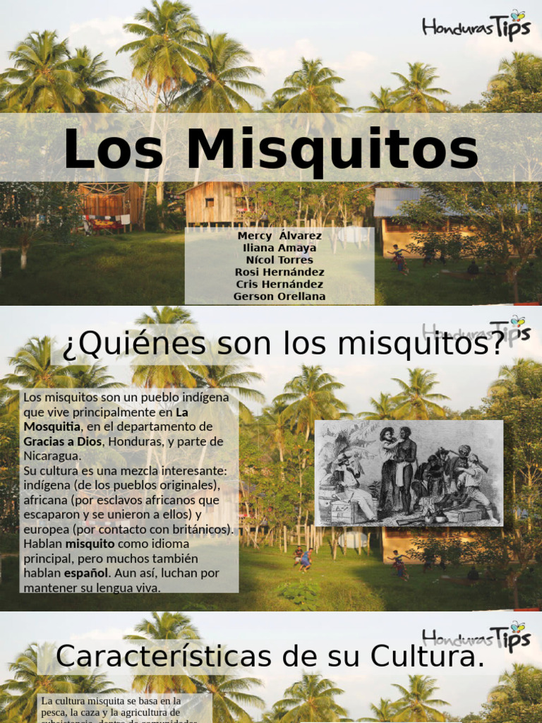 Cultura y vestimenta de los misquitos | PDF